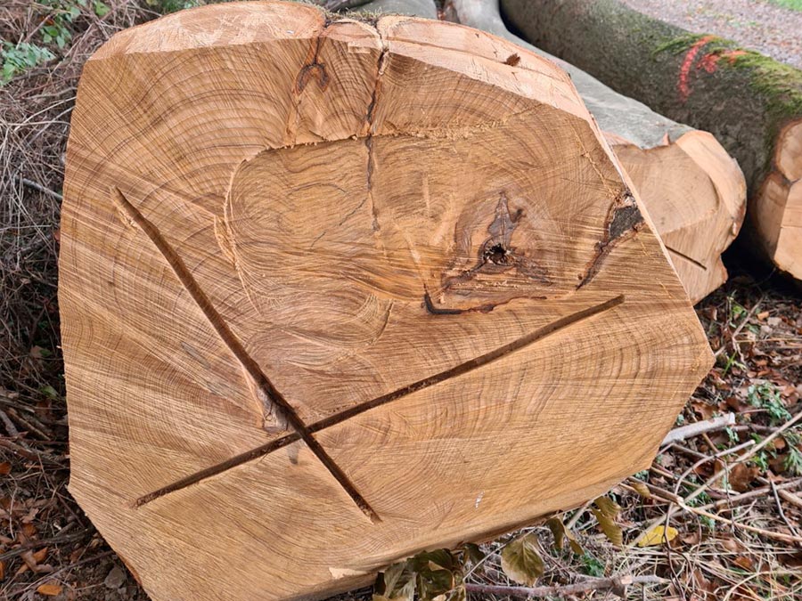 German Timber Company - Einkauf und Export von Laubholz