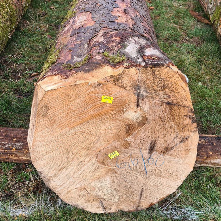 German Timber Company - Einkauf und Export von Laubholz